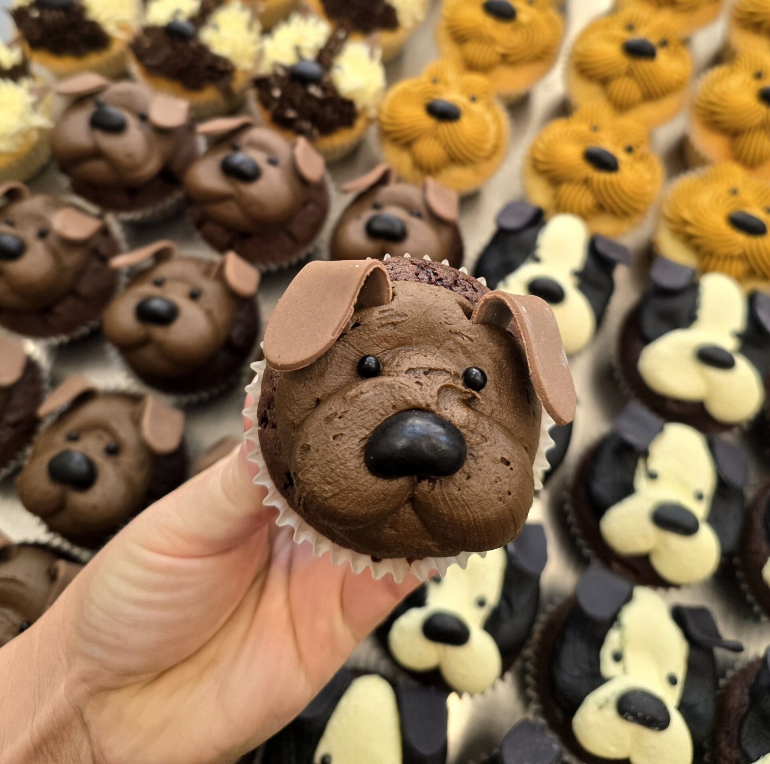 Sweet on Cupcakes | Cupcake Bakery | Cupcakes Perth | Cakes Perth