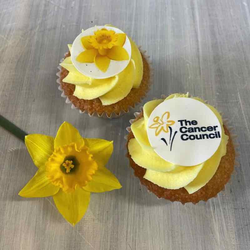 Cupcakes - Sweet On Cup Cakes