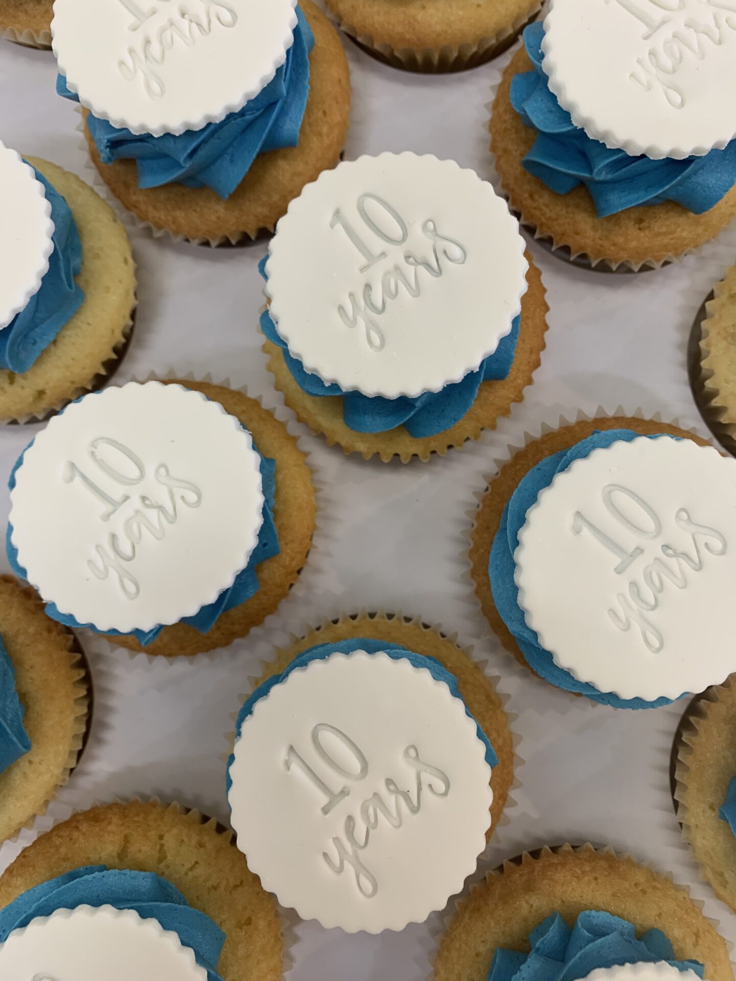 Embossed Plaque Cupcakes - Sweet On Cup Cakes