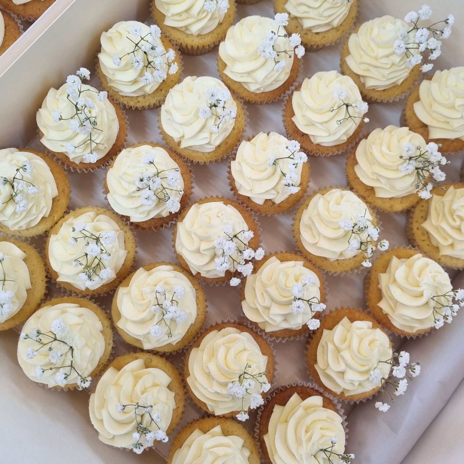Baby's Breath Cupcakes - REGULAR SIZED - Sweet On Cup Cakes