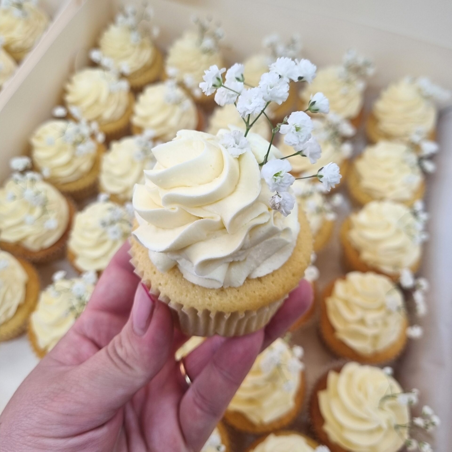 Regular sized cupcakes - Sweet On Cup Cakes
